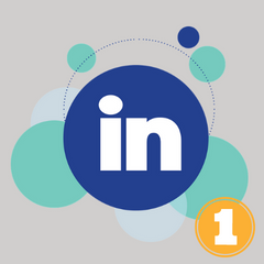 Everything You Ever Wanted to Know About LinkedIn. Part I.